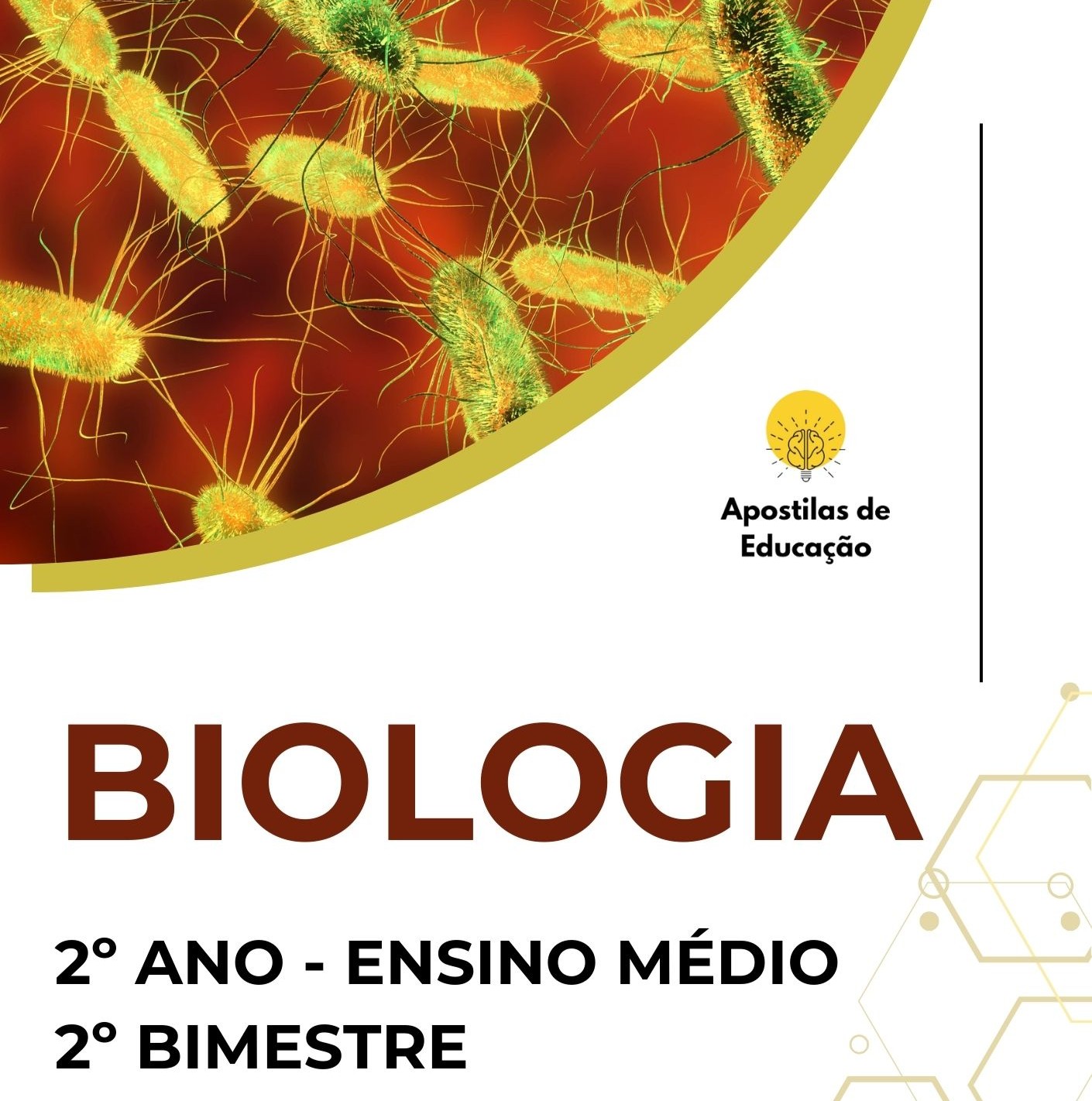 Biologia 2º Ano 2º Bimestre (Ensino Médio) – Apostila com Planos de ...